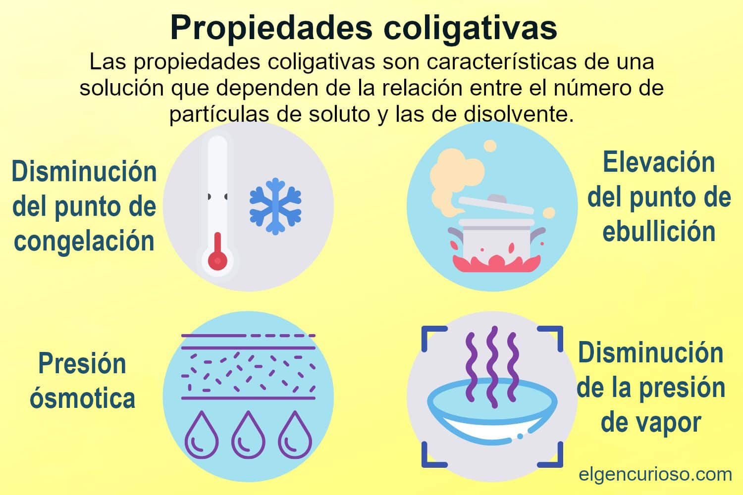 ¿Qué son las propiedades coligativas? Definición y ejemplos