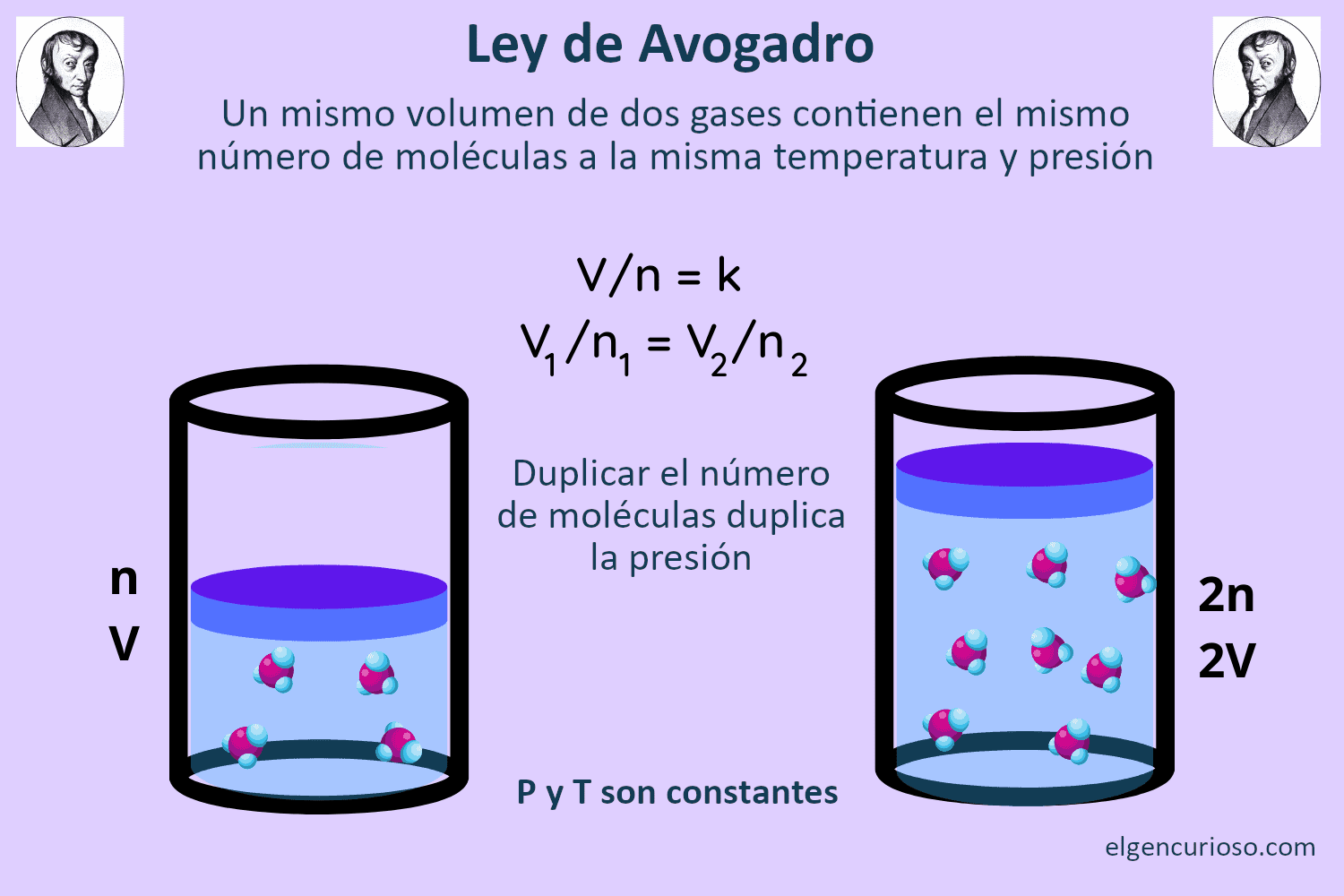 ¿Qué es la Ley de Avogadro? Descubre su fórmula y 3 ejemplos prácticos 🧪