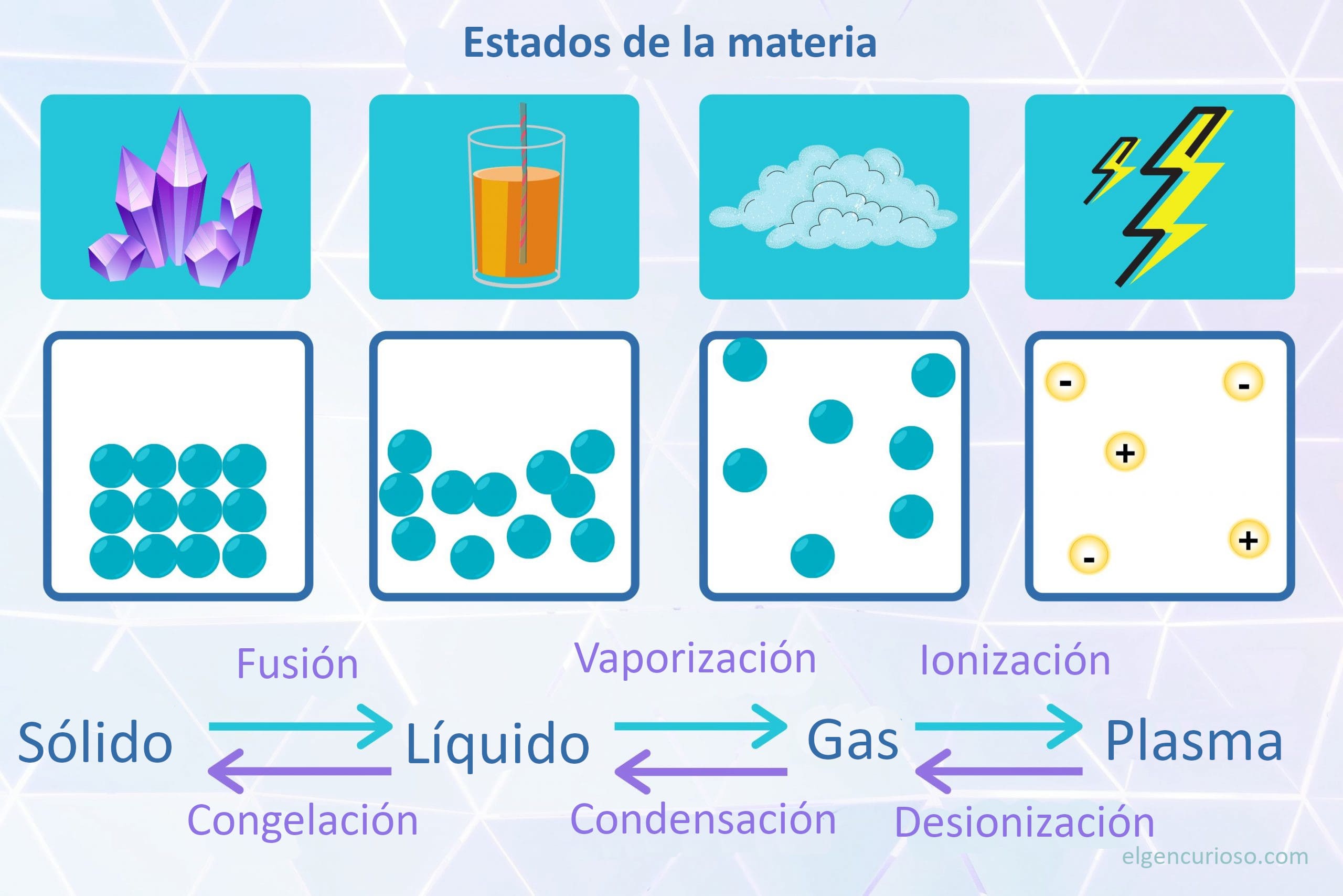 Estados De La Materia El Gen Curioso