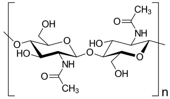 Quitina - Definición, función, estructura y ejemplos - El Gen Curioso