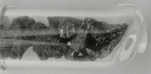 Boro | Descubrimiento, características y usos | El Gen Curioso