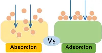 Diferencias entre absorción y adsorción - El Gen Curioso
