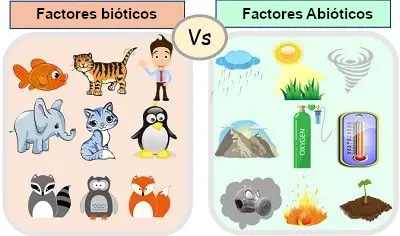 Diferencias entre factores abióticos y bióticos - El Gen Curioso
